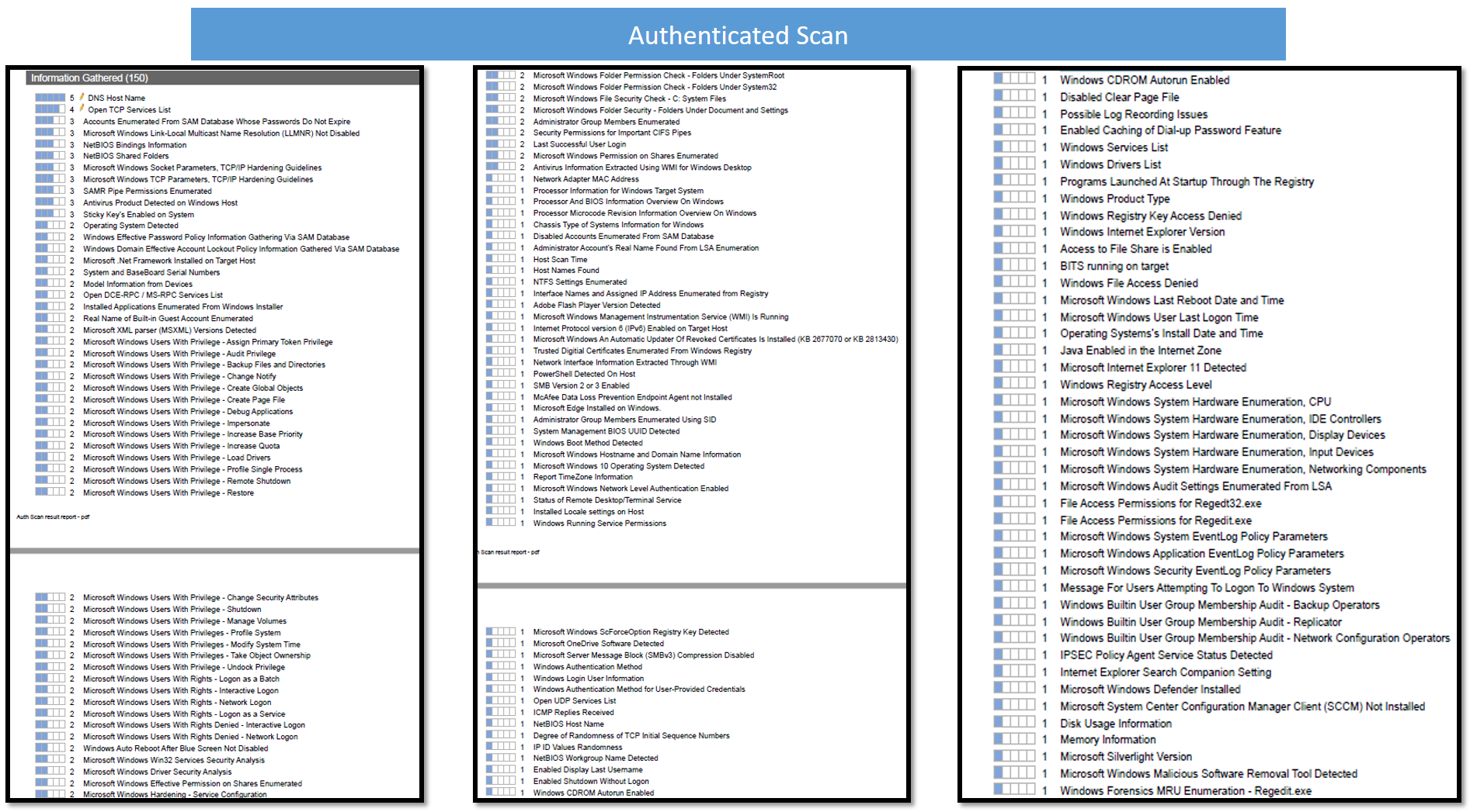 About Remote and Authenticated Scans